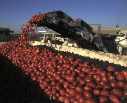 Material Transport System for Semiconductor production